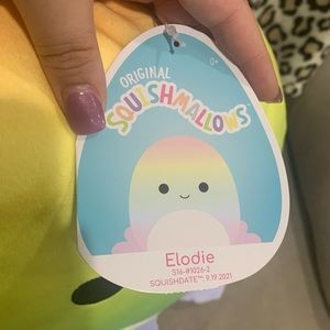 Squishmallows | Toys | Squishmallow 6 Elodie | Poshmark